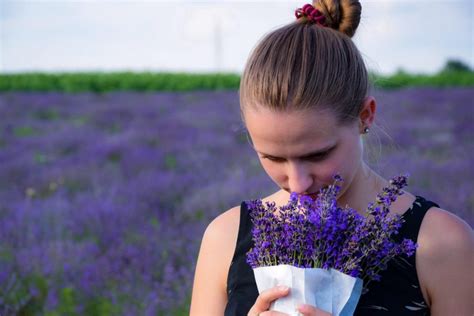 Uncovering The Relationship Between Smell And Memory