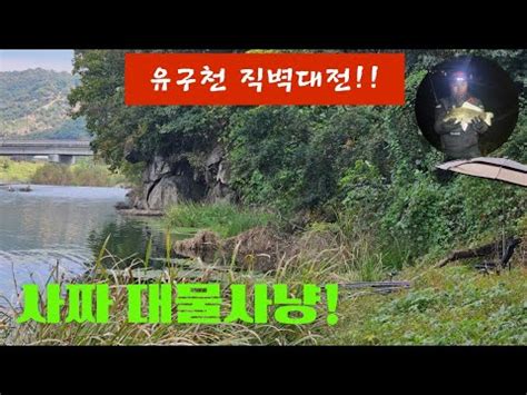 충남 공주권 유구천 직벽 포인트 대물붕어 포획작전 23 10 15 fishing 붕어낚시 YouTube