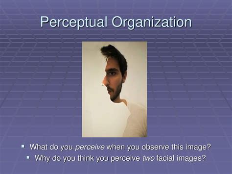 Unit 4g Perceptual Organization And Interpretation Ppt Download