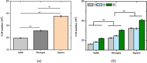 A 6 H Hmsc Adhesion On 3d Printed Pegda Scaffolds B 5 Day Msc Download Scientific Diagram