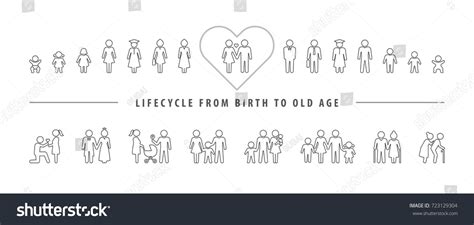 2474 Human Life Cycle Icons 图片、库存照片和矢量图 Shutterstock