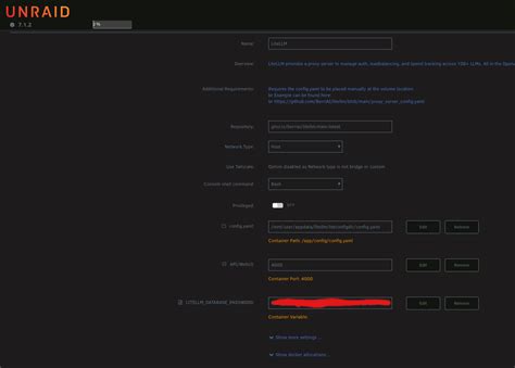 Lite Llm Docker Engine Unraid