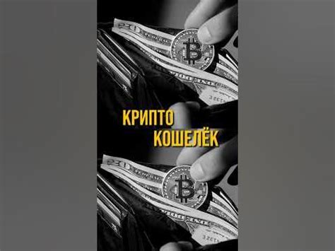 Холодный крипто кошелёк #биткоин #крипта #криптовалюта #cryptocurrency ...