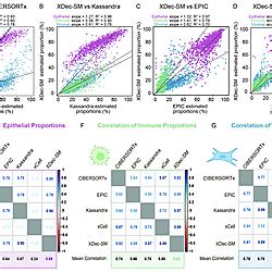 Comparison Of XDec SM Estimated Proportions To Other Deconvolution Methods