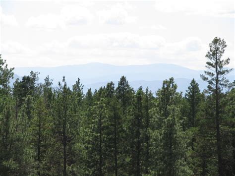 Wallpaper Trees Mountains Forest Nature 1461x1096 Srwcharacter