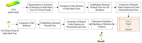 Forests Free Full Text An Automated Pipeline For Extracting Forest Structural Parameters By