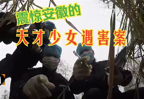 第157集丨安徽蚌埠：震惊安徽的天才少女遇害案 重案纪实 重案纪实 哔哩哔哩视频