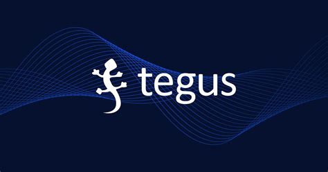 Pedro Gruner On Linkedin Im Excited To Be Joining Tegus As A Finance