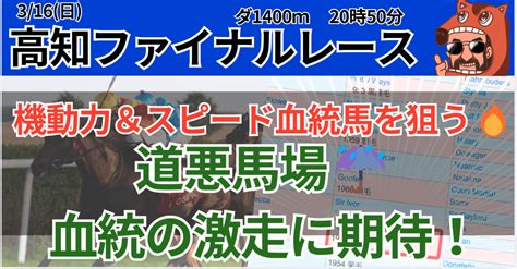 316日高知ファイナルレース血統予想🔥【20時50分】｜追い切り・血統予想ログ