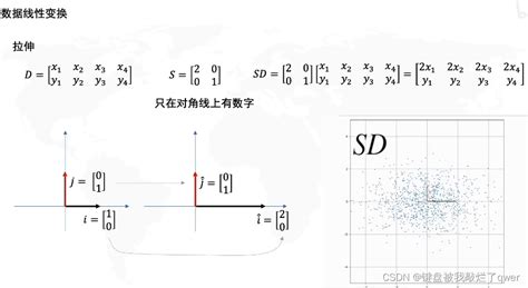 Pca（数据降维算法）pca流程图 Csdn博客