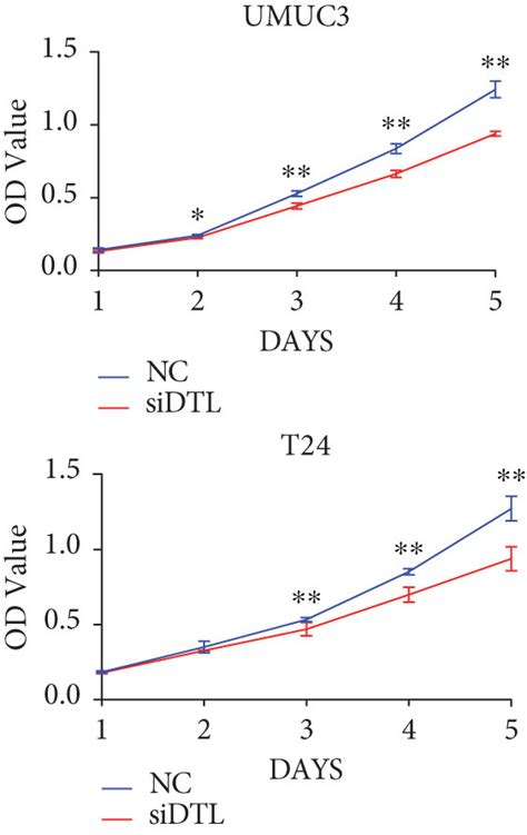 Depletion Of Dtl Suppresses Bca Cell Proliferation And Restrains G2