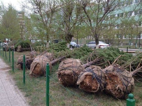 Хялганат тосгоны иргэд захидал зураг илгээжээ Newswall