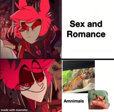Why Have Sex When I Could Get Another Gecko Or Mantis R Aromanticasexual