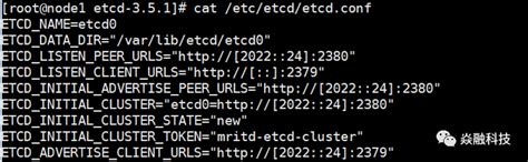 分布式存储之 etcd 的集群管理 极术社区 连接开发者与智能计算生态