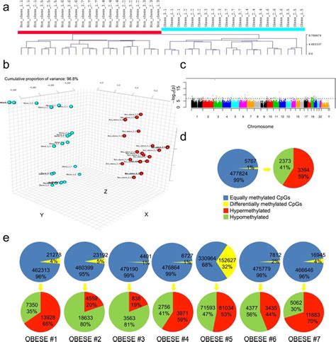 Dna Methylation Portrait A Hierarchical Clustering Analysis Based On