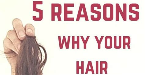 How To Stop Split Ends Without Losing Length 2020