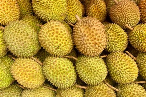 Japanese Firms Enter Durian Cultivation In Malaysia Grow Your Business