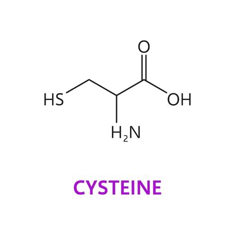 Premium Vector Cysteine Amino Acid Chemical Molecule Structure