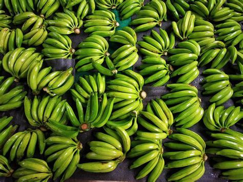 Export Of ‘nendran Bananas From Kerala On The Rise The Hindu
