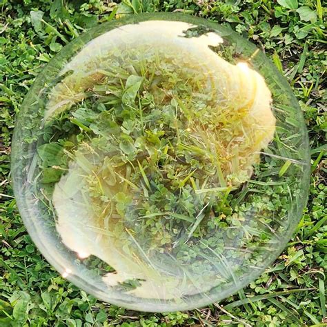 Pofeng Sam Altman 在聽證會上又變成不支持監管了。 2025 05 08 美國參議會聽證會，四位證人證詞與回答摘要