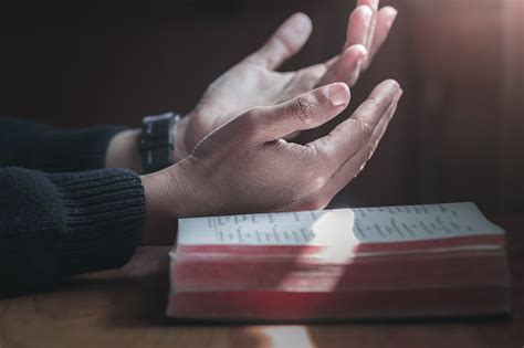 아침에 거룩한 성경에 기도하는 사람의 손을 기도하십시오 기독교 개념입니다 개념에 대한 스톡 사진 및 기타 이미지 개념