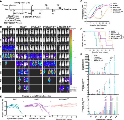 Simultaneous Editing Of Tcr Hla I Ii And Hla E Resulted In Enhanced Universal Car T Resistance