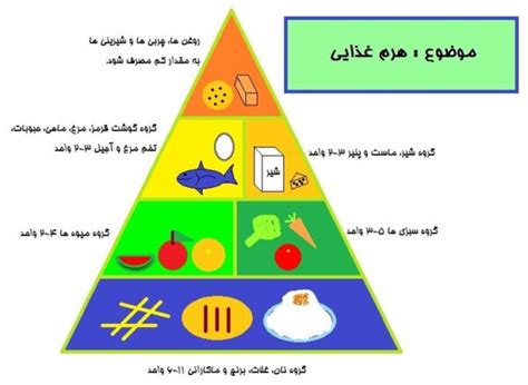 🥗 معرفی هرم غذایی کسری داکیومنت