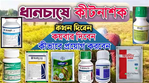 বোরো ধানে কখন কি কীটনাশক প্রয়োগ করবেন ধানচাষে কীটনাশক প্রয়োগ পদ্ধতি। কীটনাশক স্প্রে। Youtube