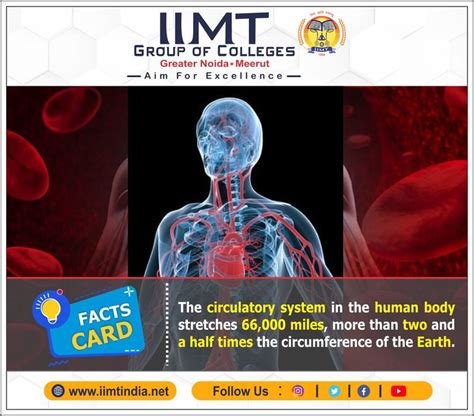 iimt group of colleges on linkedin factscard knowthefact iimtindia iimtian iimtnoida