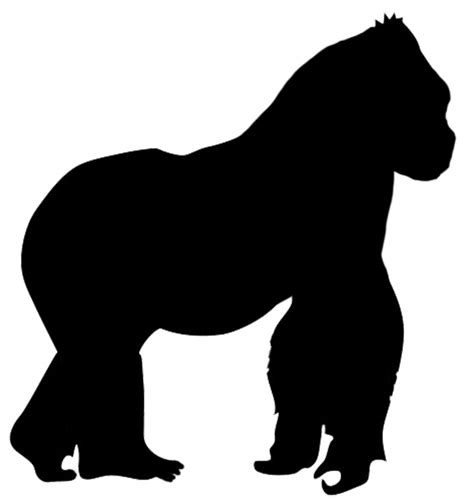 Gorilla Silhouette Png At Getdrawings Free Download