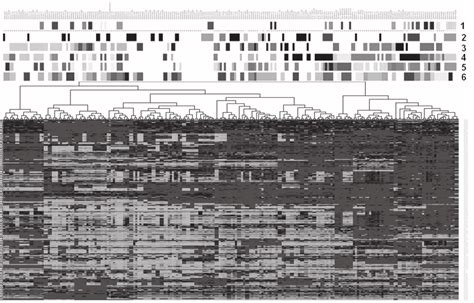 Two Dimensional Hierarchical Clustering Of Isolates With Probes