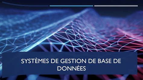 Systèmes De Gestion De Base De Données Youtube