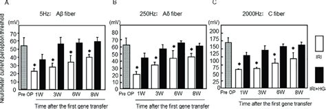 Neurometer Current Perception Threshold Neurometer Measurements Of Download Scientific Diagram