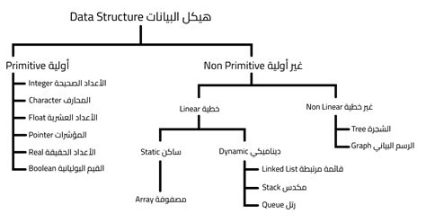 هياكل البيانات Data Structures مقالات برمجة عامة أكاديمية حسوب
