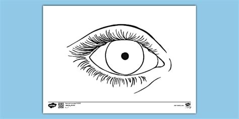 Eye Small Pupil Colouring Colouring Sheets