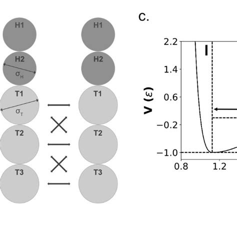 Top Scheme Of A Brewster Angle Microscope Setup The Brewster Angle