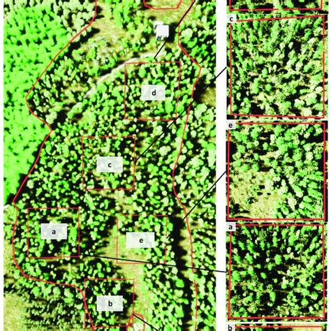 A The Result Of Visual Simulation Of The Five Sample Plots In The