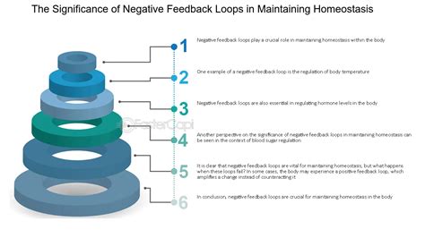 Positive Feedback Loop In Human Body