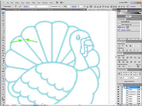 How To Draw Lines On Illustrator