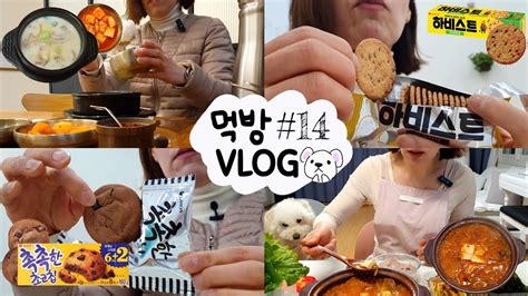 먹방 브이로그 추운 날엔 뜨끈한 순대국밥이 최고🥶 달달한 과자는 덤 먹방 브이로그 순대국밥 하비스트 촉촉한초코칩 삼겹살 파김치 김치찌개 산책 Mukbang Vlog