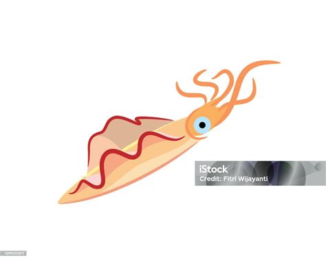 밝은 색상의 오징어 그림은 미끼 제품으로 사용할 수 있습니다 오징어에 대한 스톡 벡터 아트 및 기타 이미지 오징어