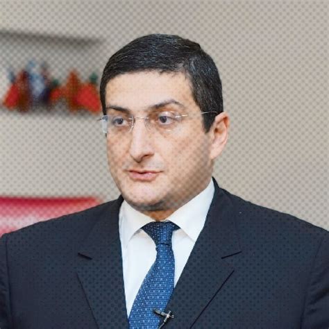 ევროკომისიის 12 რეკომენდაცია ვინ არის პასუხისმგებელი მათ შესრულებაზე