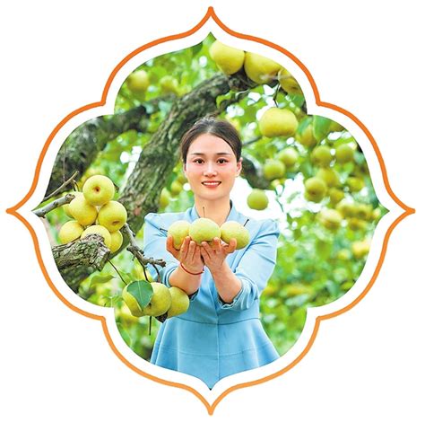 学用“千万工程”礼赞丰收中国 2024年中国农民丰收节 中国·兰考丨丰收节里庆丰收 河南新闻 新乡网新闻中心