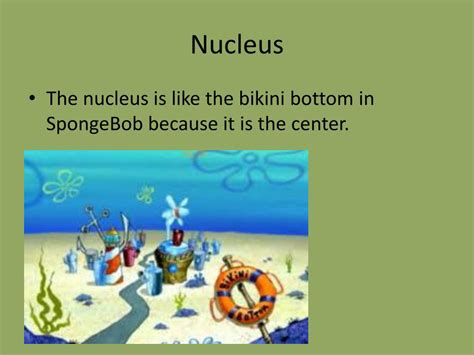 Ppt The Amazing World Of Cell Function Powerpoint Presentation Free