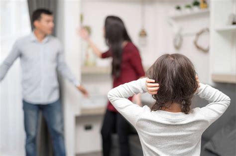 Counselling For Domestic Violence Bettina Arndt Mentoo