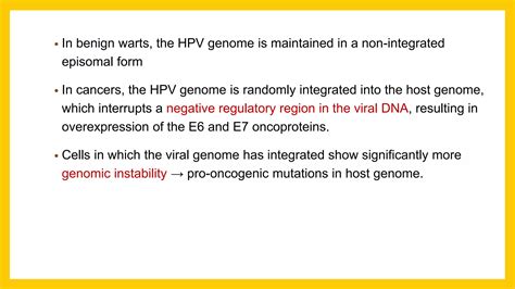 Oncogenic Viruses Pptx