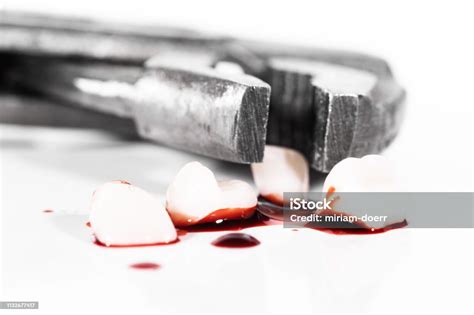 흰색 배경 앞에 피 묻은 이빨을 가진 컨셉 이미지 파이프 렌치 0명에 대한 스톡 사진 및 기타 이미지 0명 건강관리와 의술