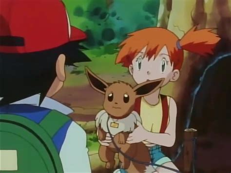 Episode 40 The Battling Eevee Brothers Pokéviews
