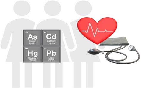 Chronic Lead Cadmium And Arsenic Exposure Raise The Risk Of