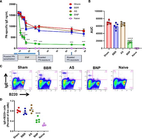 Peanut Specific Ige And Ige B Cells A Peanut Specific Ige Levels